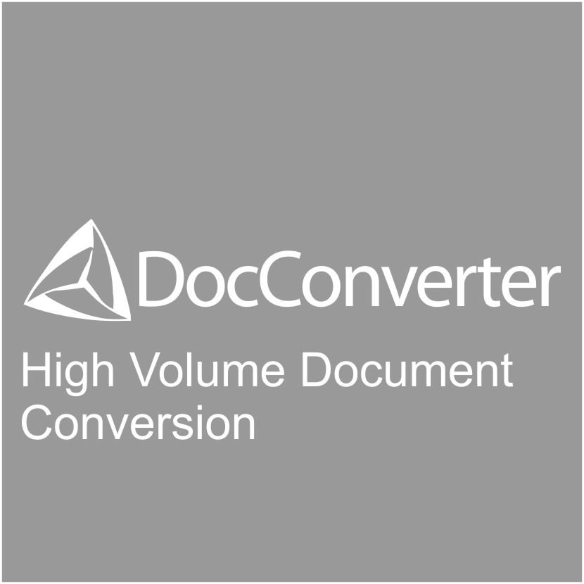 DocConverter - L.spot